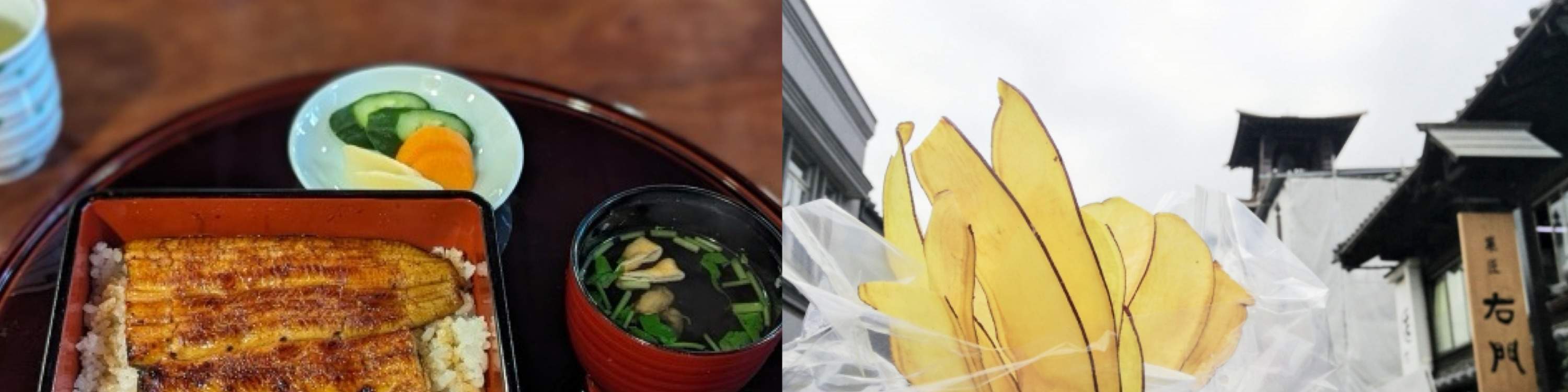 [Tur Satu Hari Melihat Bunga Saitama] "Kumatsuda" Higan Flower Sea ...